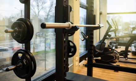 Top 3+ Best Weight Benches with 1000 lb Capacity | Home Gym Magazine